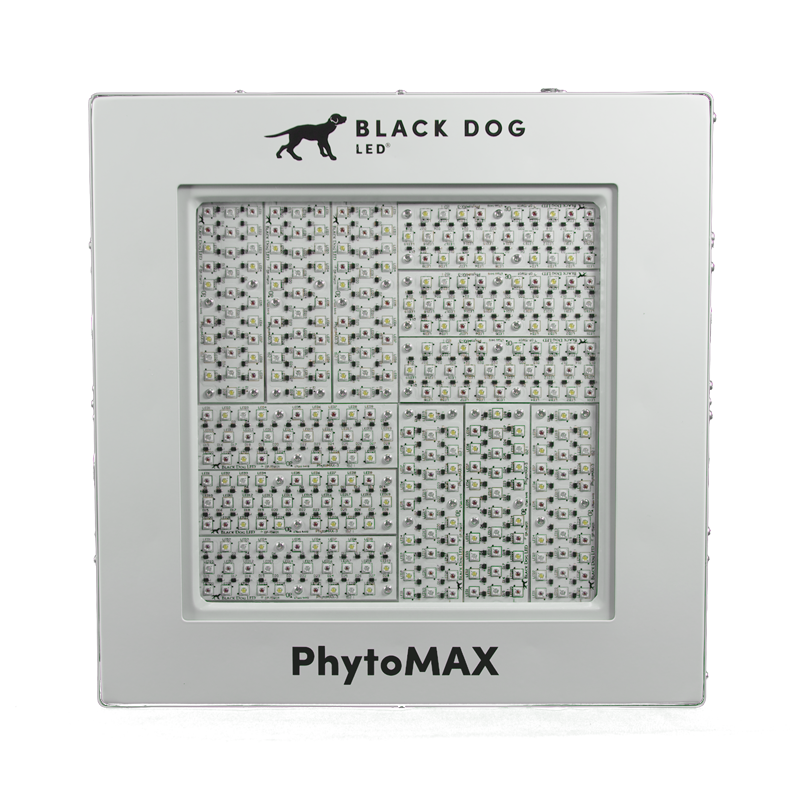 PhytoMAX-4 12S LED Grow Light - Black Dog LED Europe