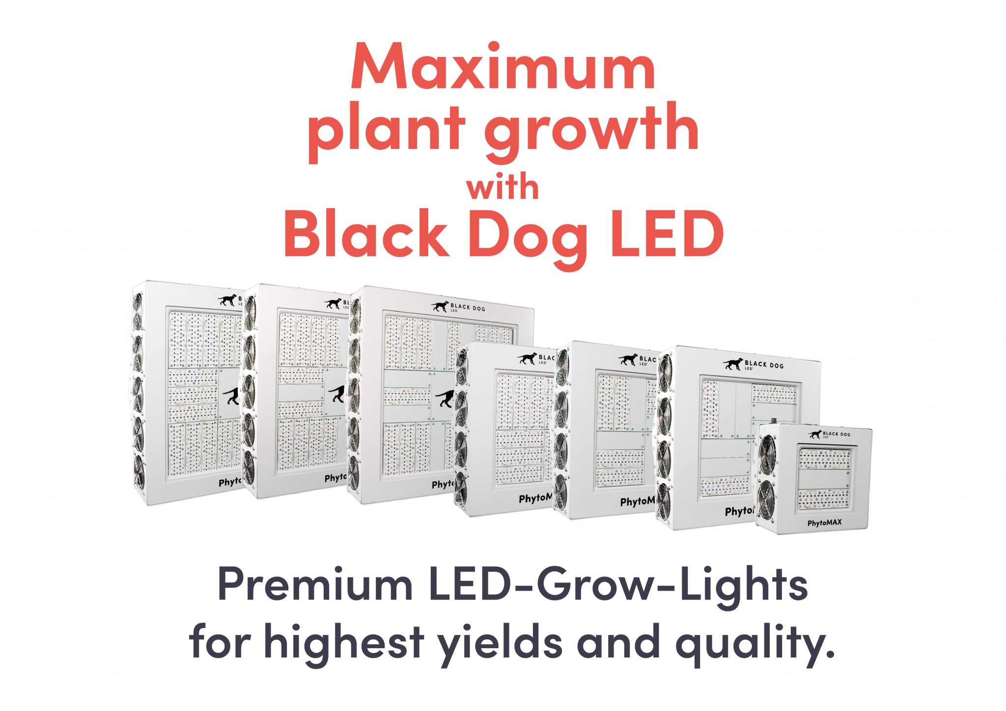 Startseite - Black Dog LED Europe