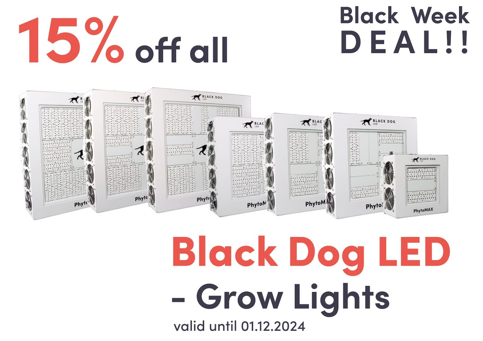 Startseite - Black Dog LED Europe